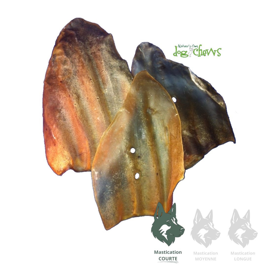 NATURE'S OWN | Oreille de vache JUMBO – Solution Nutrition Animale