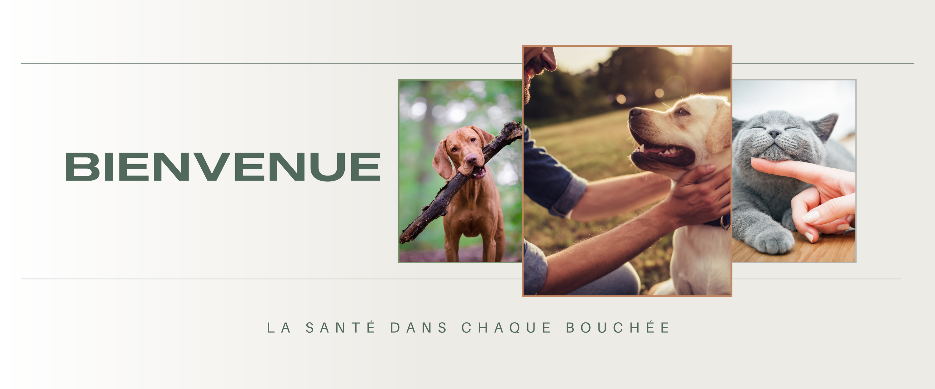 Solution Nutrition Animale